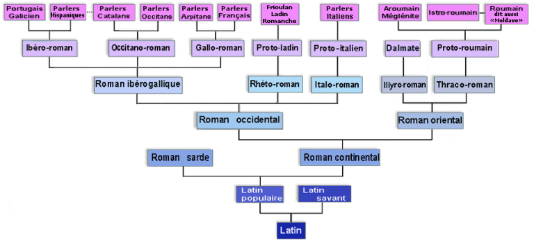 arbres des Langues Romanes - Mordus d'Italie